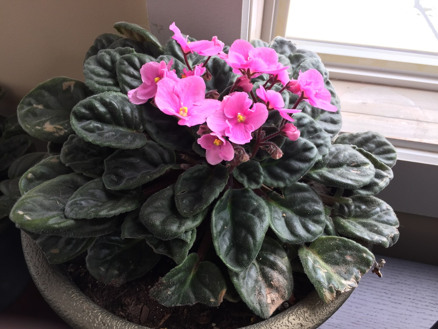 Questions from Positively Pinawa – Michael King